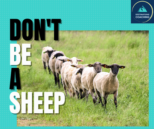 Don't be a sheep when it comes to employee engagement