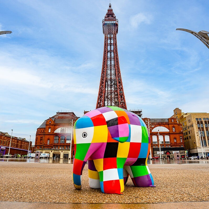 Elmer art trail raises over £200,000 for Brian House | LBV Hub