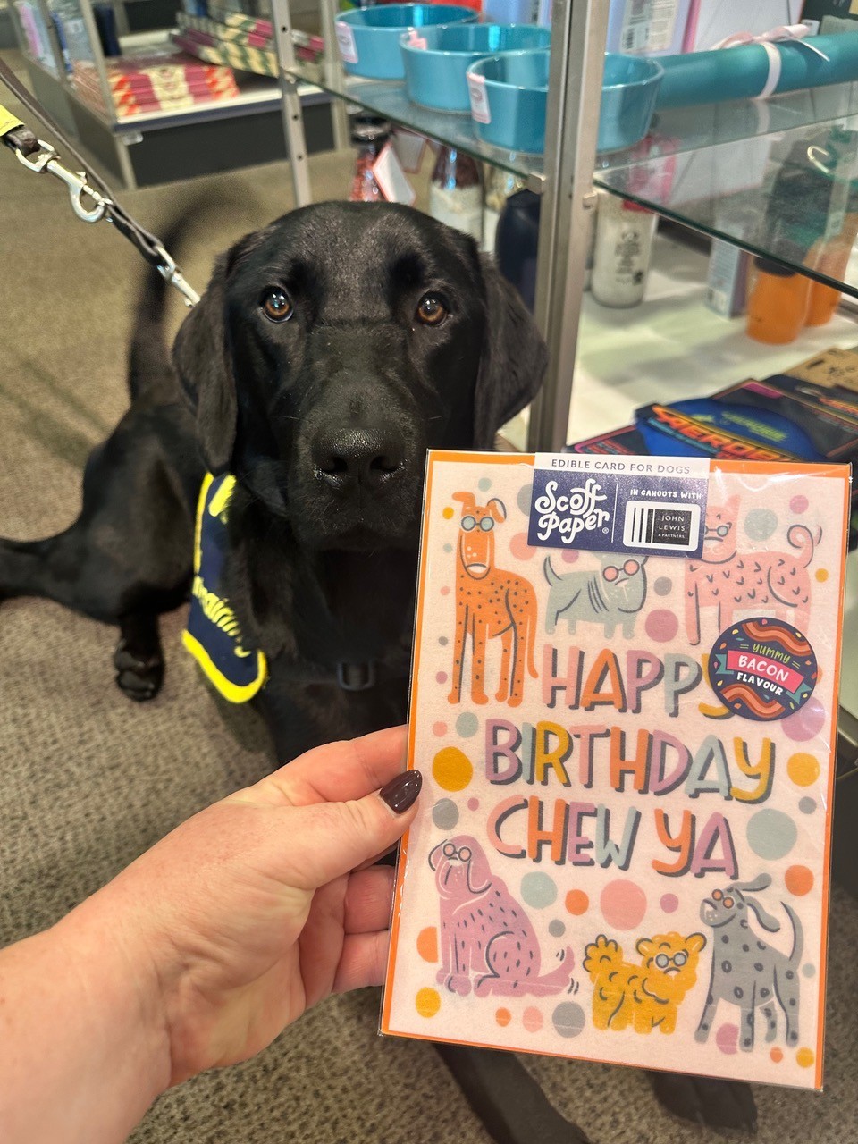 Dog greetings card firm lands John Lewis partnership