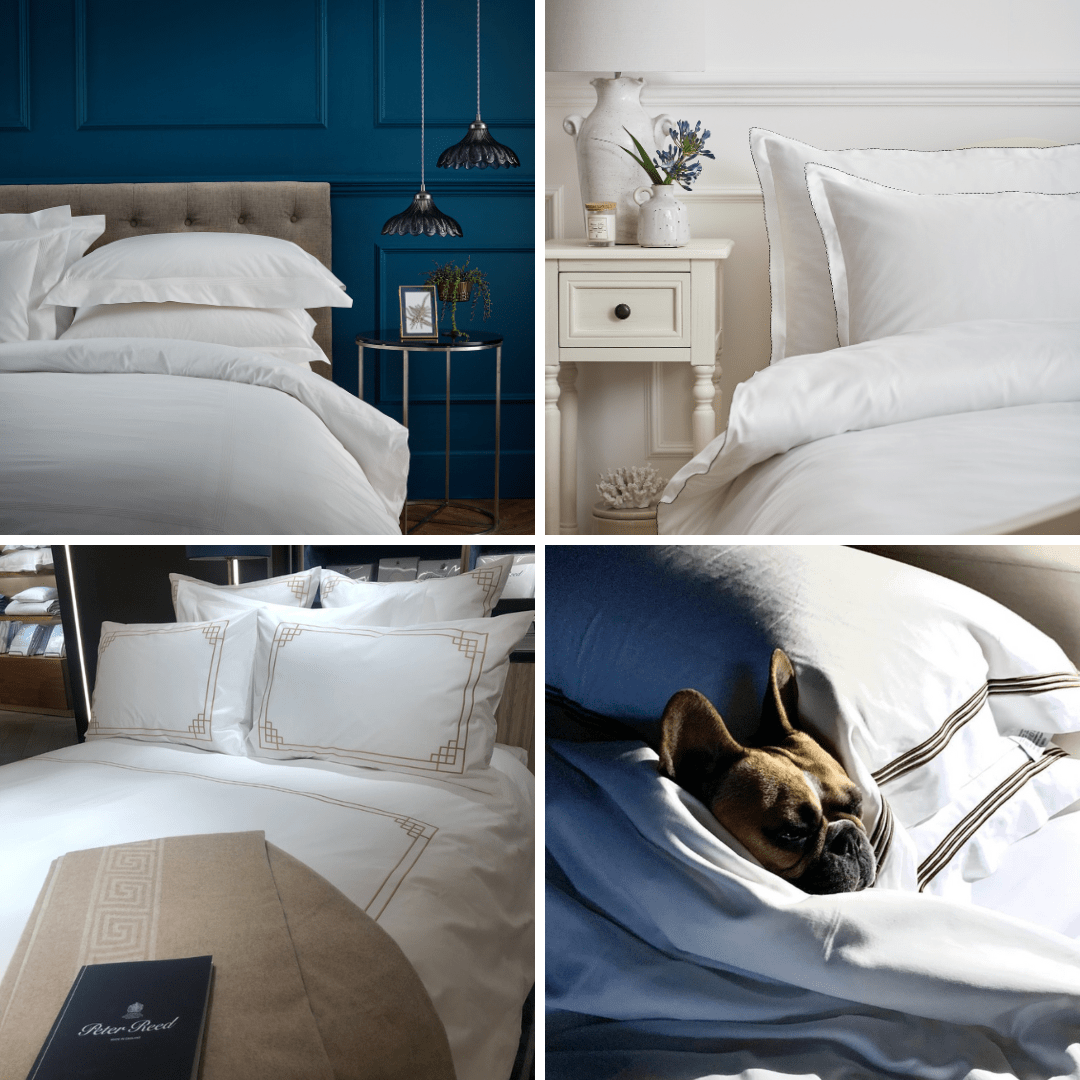 Case study: RfM Transform and Peter Reed International | LBV Hub