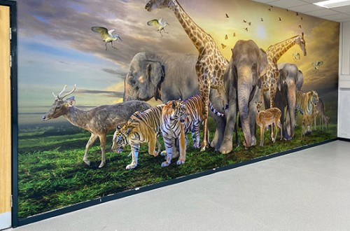Stunning animal graphic for UCLan - Large format wall murals | LBV Hub